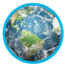 wetico